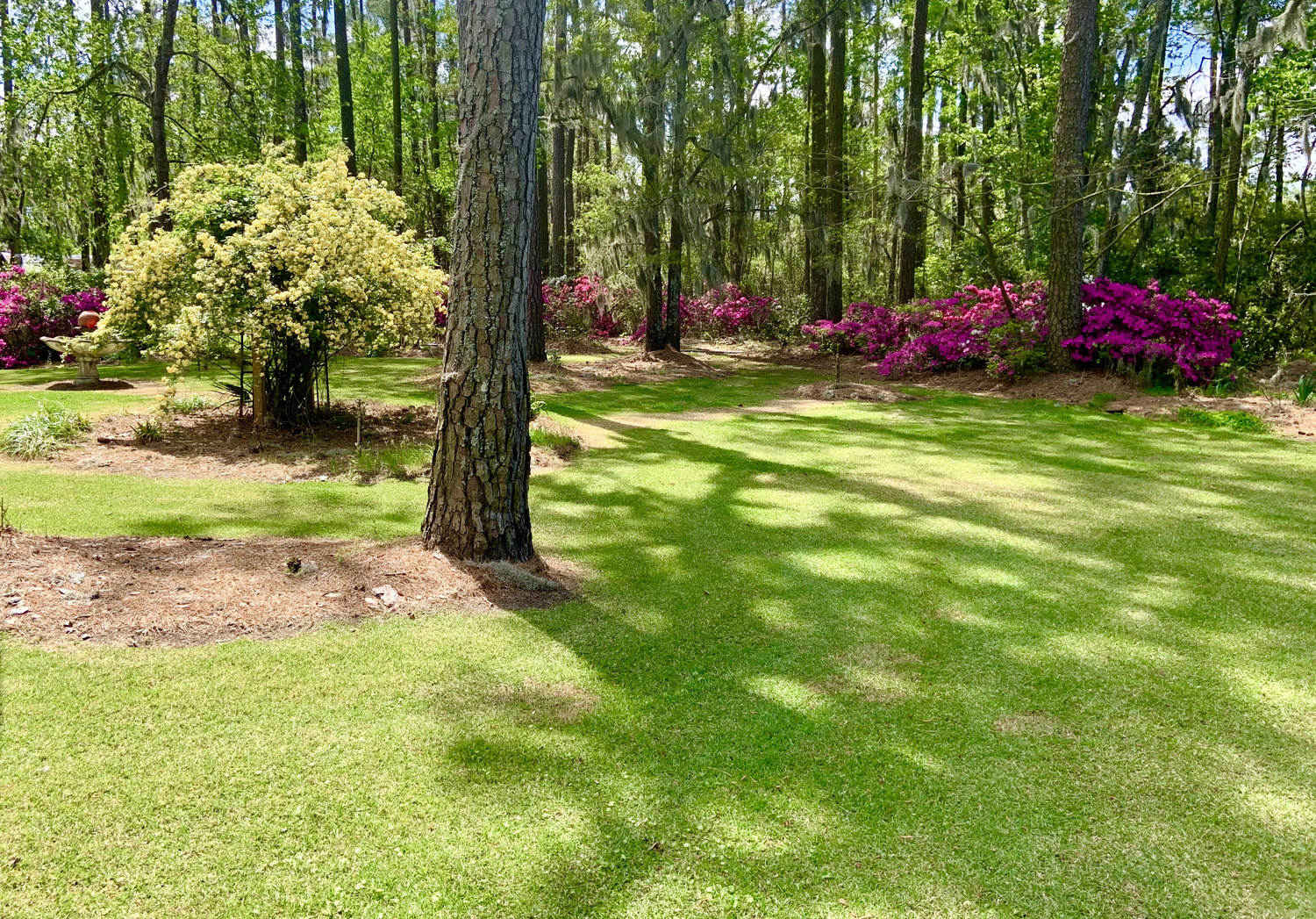 Lawns Plus Property Management