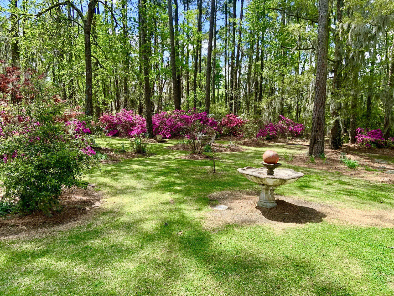 Lawns Plus Property Management